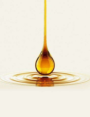 Bestel de Mobil Pegasus 705 direct in uw motor gestort | Den Hartog B.V.